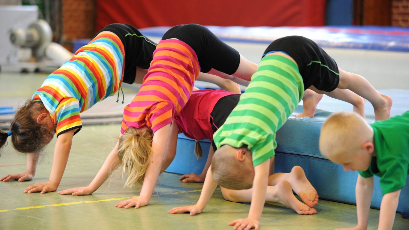 TeamGym - GymDanmark