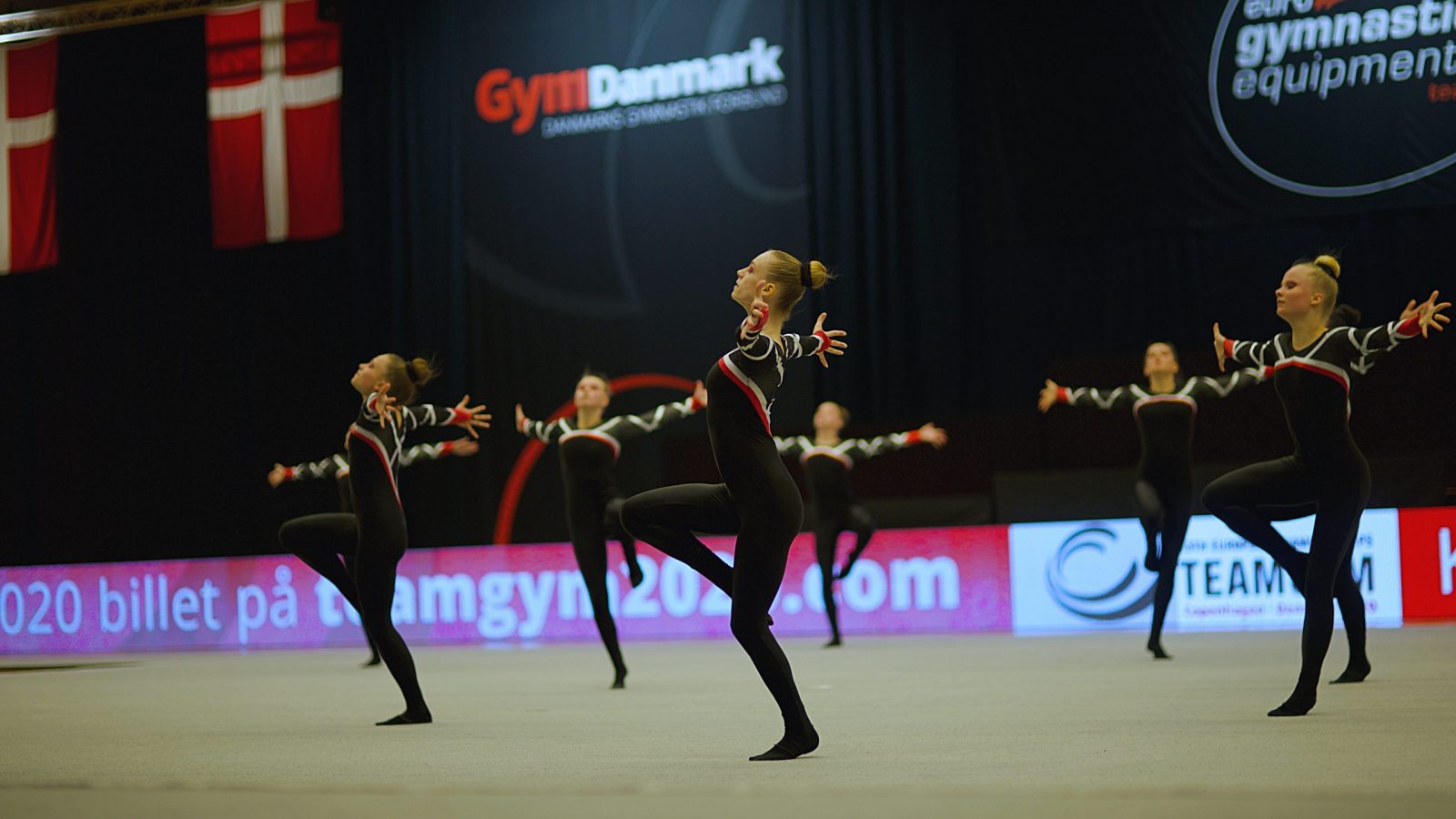TeamGym - GymDanmark