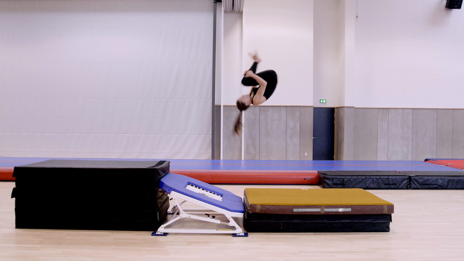 TeamGym - GymDanmark